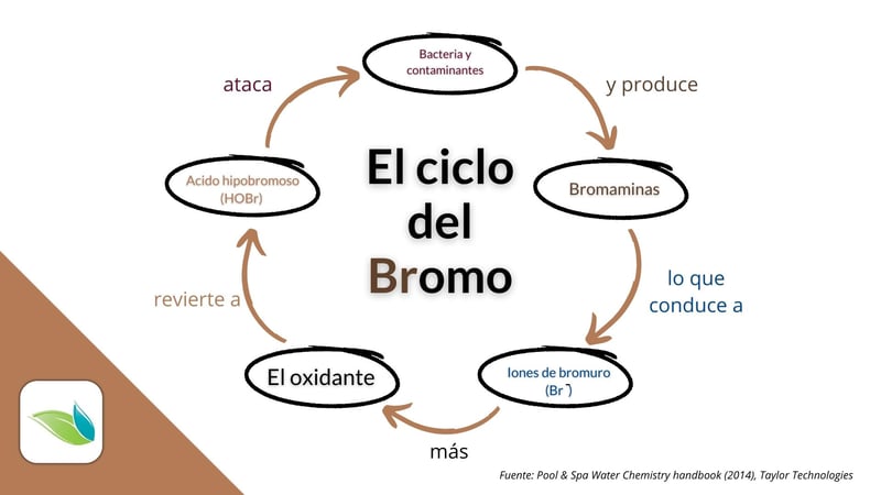 Qué es el bromo como desinfectante?